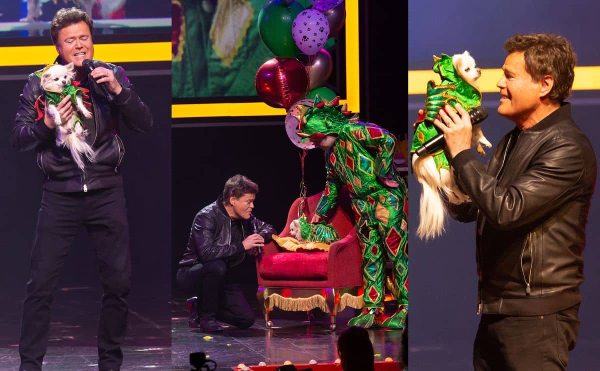 The Magician, His Cloned Chihuahua (Twice) & Shocking Story Of Mr. Piffles