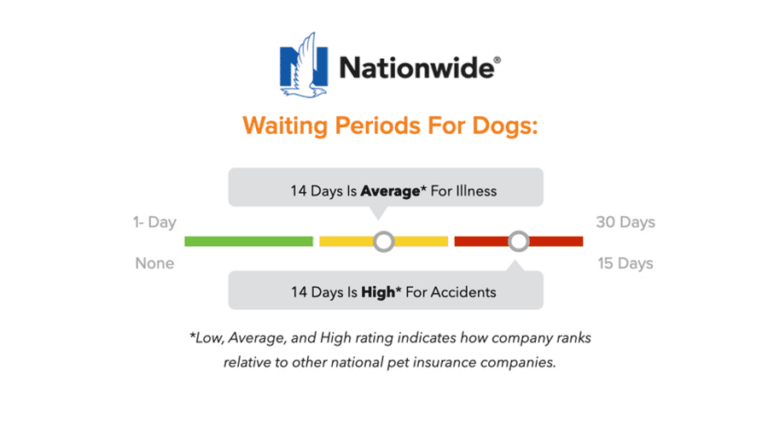 Nationwide Pet Insurance Reviews: Claims, Coverage, Customer Service ...