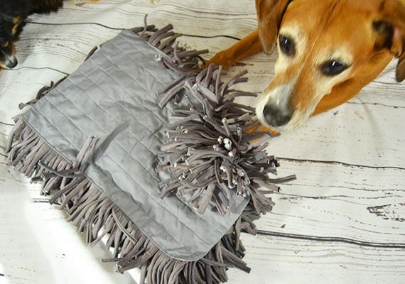 The 2 Best Snuffle Mats For Dogs (7 Tested & Reviewed!) | Canine Journal