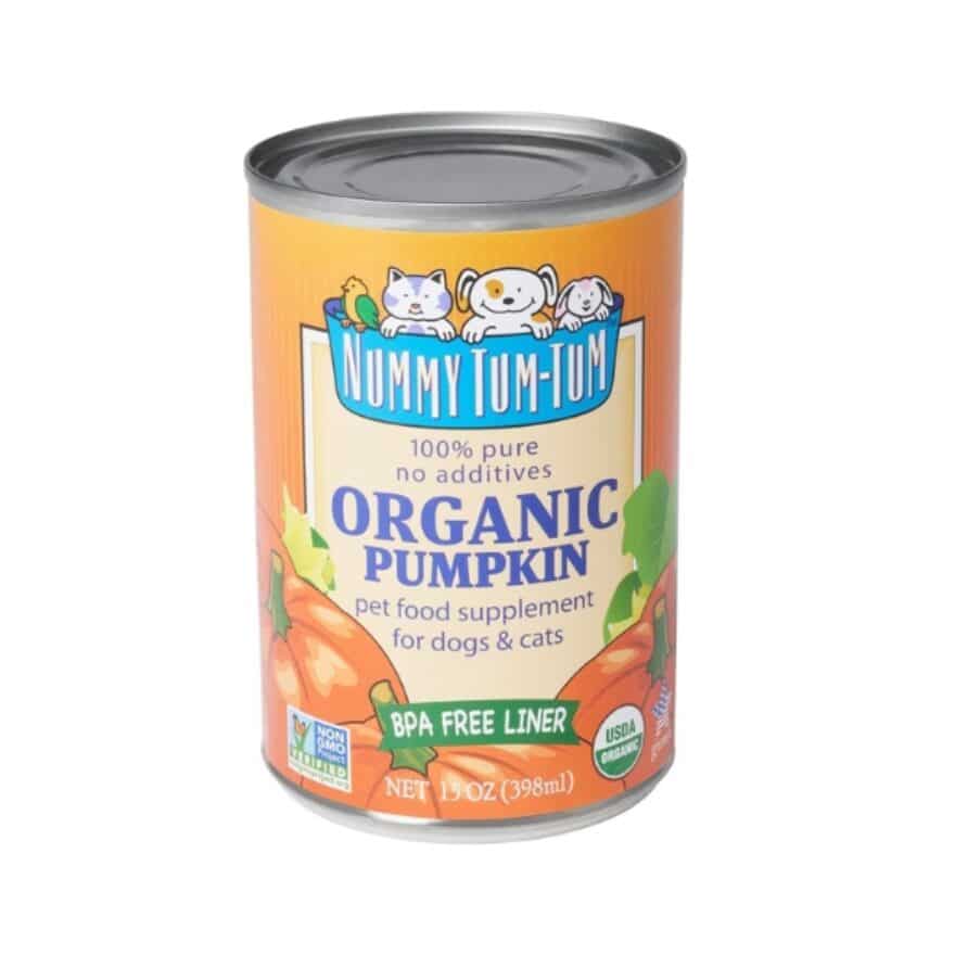 Pumpkin Puree For Dogs: The Magic Scoop That Can Solve Gut Problems Fast