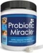 Best Probiotic For Dogs: Natural, Soil Based, Calming, Homemade, For ...