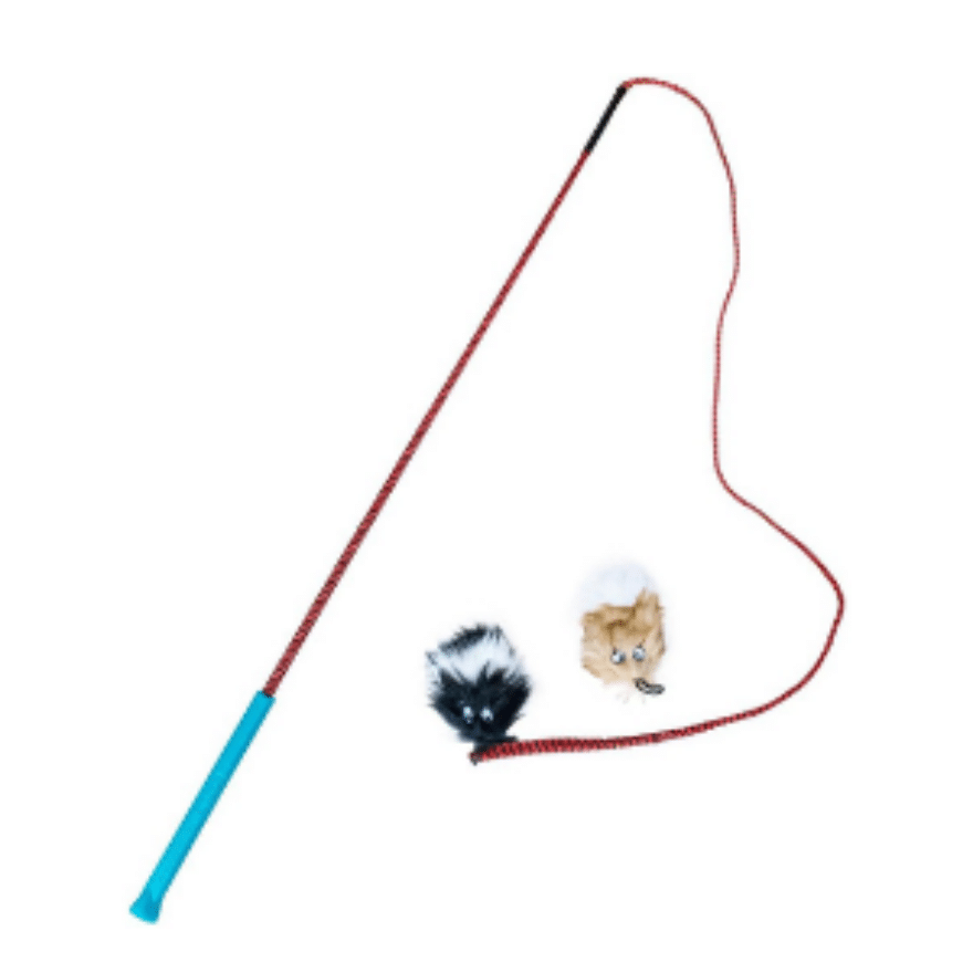 Best Flirt Pole For Dogs: How To Use A Flirt Pole & Why You Should Have One