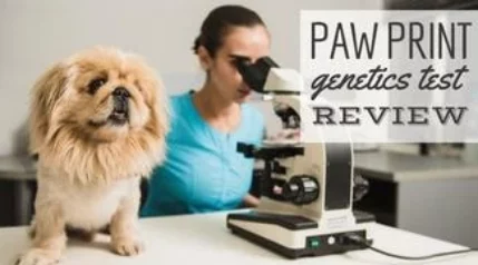 Sally Jones, Researcher/Writer & Editor