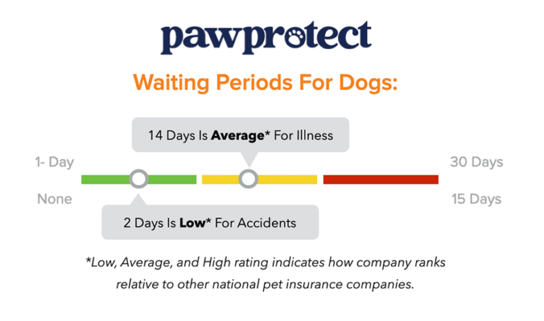 Paw Protect Pet Insurance Review: Administering Polices By Embrace