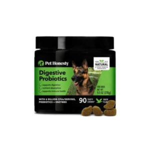 5 Best Digestive Enzymes For Dogs: Benefits & A Vet's Opinion