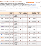 2025 Pet Insurance Comparison Charts: See Side-By-Side Coverage & Costs