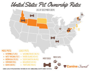 Pet Ownership Statistics: How Many Dogs Are In The World?