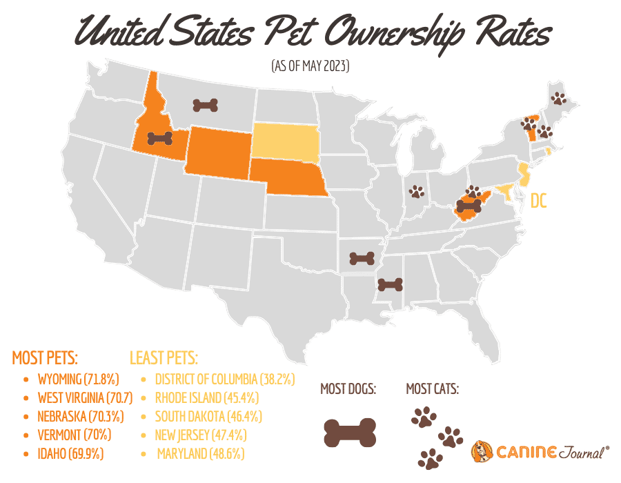 Pet Ownership Statistics: How Many Dogs Are In The World?