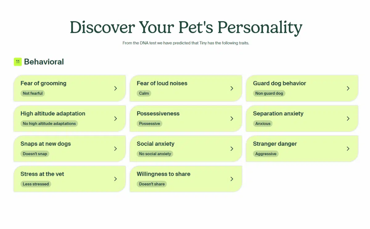Know Your Pet DNA By Ancestry Review & Our Personal Experience