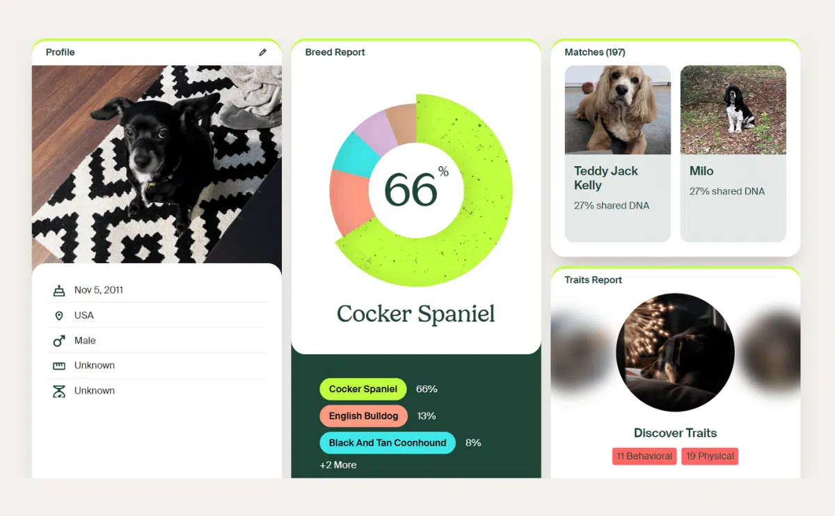 Know Your Pet DNA By Ancestry Review & Our Personal Experience