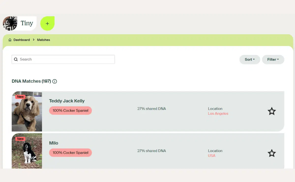 Know Your Pet DNA By Ancestry Review & Our Personal Experience