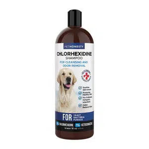 Best Allergy Medicine For Dogs (Over The Counter And Prescription): Are ...