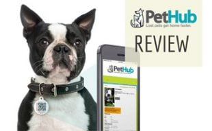 PetHub Reviews: More Information on One Tag – CanineJournal.com