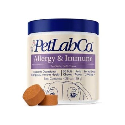 PetLab Co. Reviews: Is This The Best Supplement Company For Dogs?