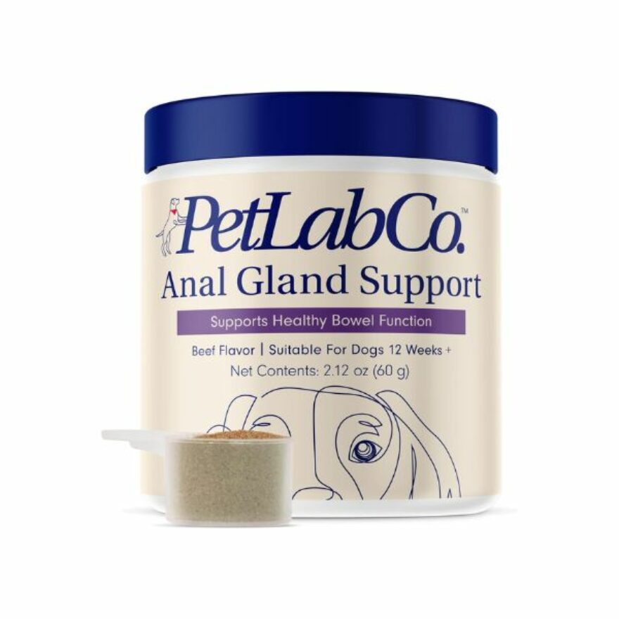 PetLab Co. Reviews: Is This The Best Supplement Company For Dogs?