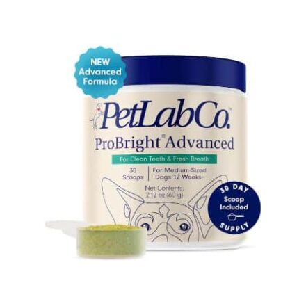 PetLab Co. Reviews: Is This The Best Supplement Company For Dogs?