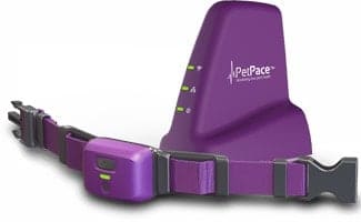 Best Dog Activity Monitor: Fitbark vs Tagg vs Whistle