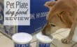 PetPlate Reviews: Tails Will Wag For This Dog Food Delivery Service ...