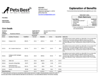 Pets Best Insurance Reviews: Pricing, Coverage & How It Compares ...