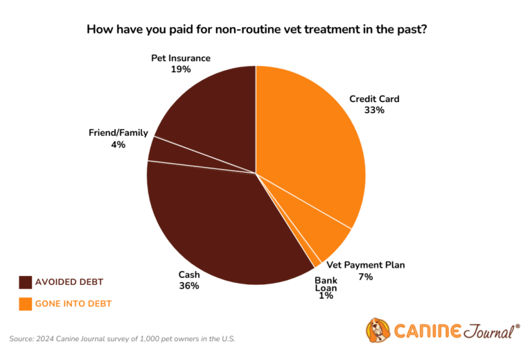 Nearly Half Of Pet Owners Would Consider Euthanizing Their Pet When ...