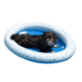 5 Best Dog Floaties For The Pool, Beach & More - Canine Journal