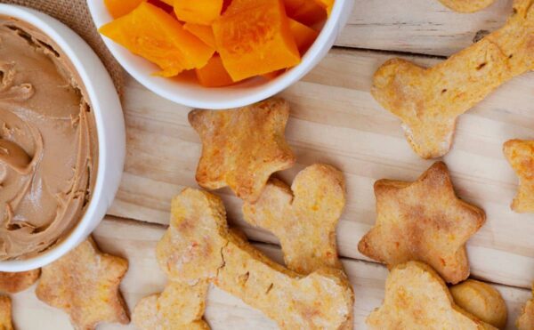 Pumpkin Puree For Dogs: The Magic Scoop That Can Solve Gut Problems Fast