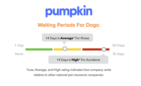 Pumpkin Pet Insurance Review: A Newer Pet Insurance Option