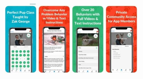 7 Best Dog Training Apps For iPhone & Android - Canine Journal