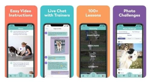 7 Best Dog Training Apps For iPhone & Android - Canine Journal