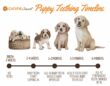 When Do Puppies Lose Their Baby Teeth? A Puppy Teething Timeline & More
