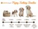 When Do Puppies Lose Their Baby Teeth? A Puppy Teething Timeline & More
