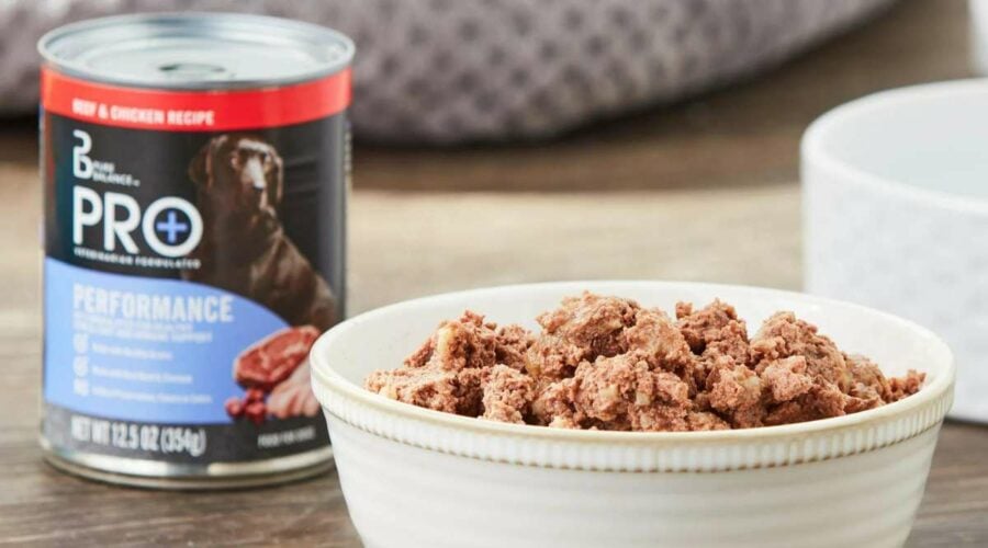 Best Keto Dog Food: Is A Low Carb Diet Right For Your Dog? - Canine Journal