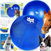 Best Herding Ball For Dogs & More Toys To Keep Your Herding Breed Engaged