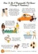 Am I Ready For A Dog? How To Be A Responsible Dog Owner