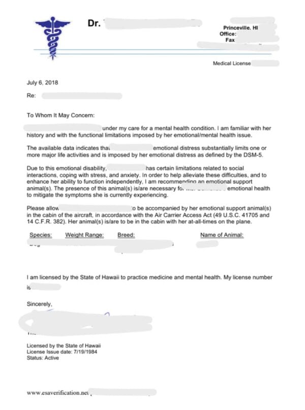 13 Best Emotional Support Dogs - Canine Journal