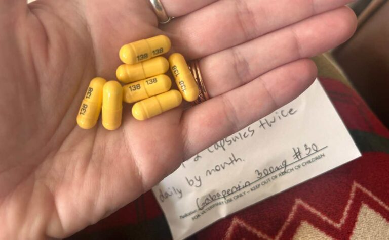 Rimadyl For Dogs: Dosage Chart, Side Effects, Uses, Safety & More