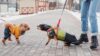 Your Dog Loses Their Mind Around Other Dogs: Dog-On-Dog Aggression ...