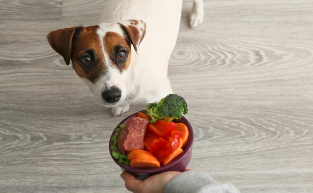 Best All-Natural Dog Food: Dry, Wet, Fresh, Dehydrated, Freeze-Dried ...