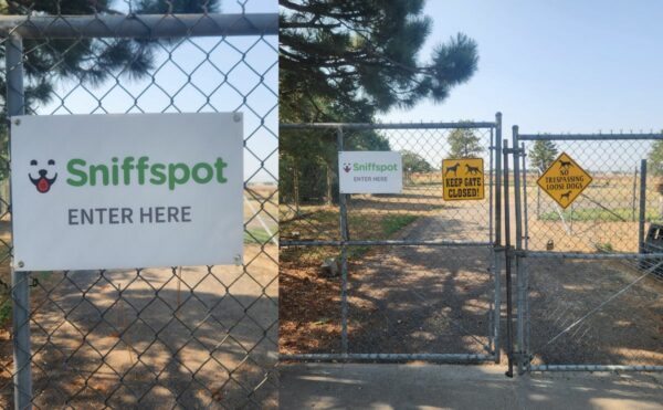 Sniffspot Review: My Personal Experience With The Airbnb Of Dog Parks