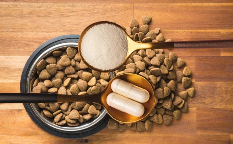 5 Best Digestive Enzymes For Dogs: Benefits & A Vet's Opinion