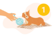 How To Teach Your Dog To Fetch: A Step-By-Step Guide