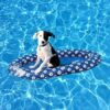 5 Best Dog Floaties For The Pool, Beach & More - Canine Journal