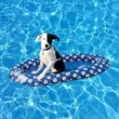 5 Best Dog Floaties For The Pool, Beach & More - Canine Journal