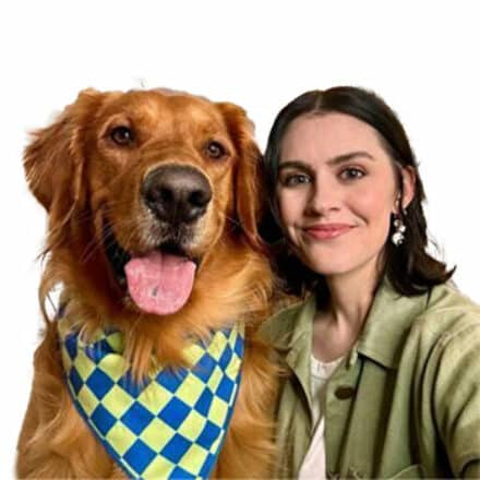 Dog Eye Discharge Home Remedy: 6 Solutions For Your Canine | Canine Journal