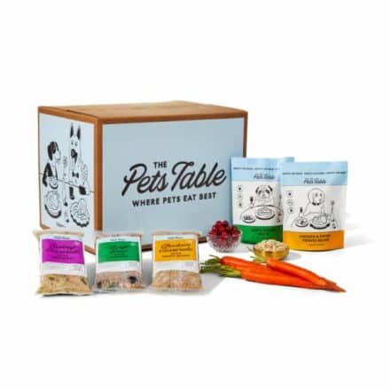 The Pets Table Review & Personal Experience - Canine Journal