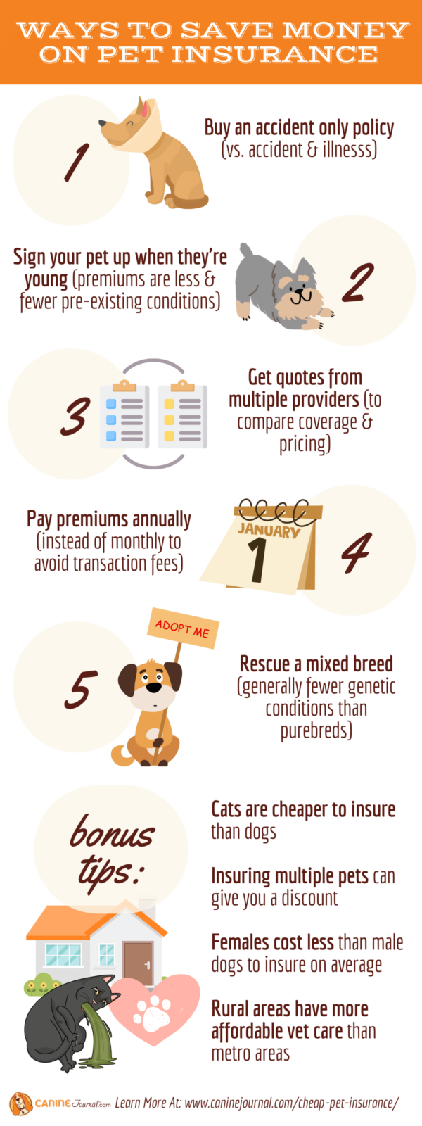 How To Get Cheap Pet Insurance: 9 Tips To Save Money