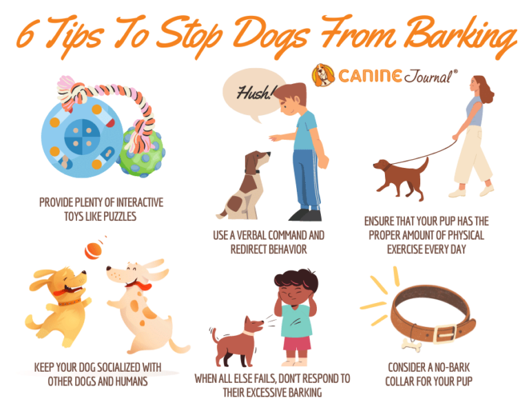 Do Dogs Get Tired Of Barking? | Canine Journal