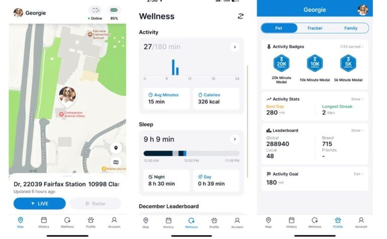 Tractive Reviews: Is This GPS Dog Tracker Reliable? - Canine Journal
