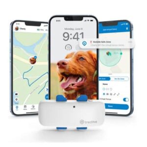 Tractive Reviews: Is This GPS Dog Tracker Reliable? - Canine Journal