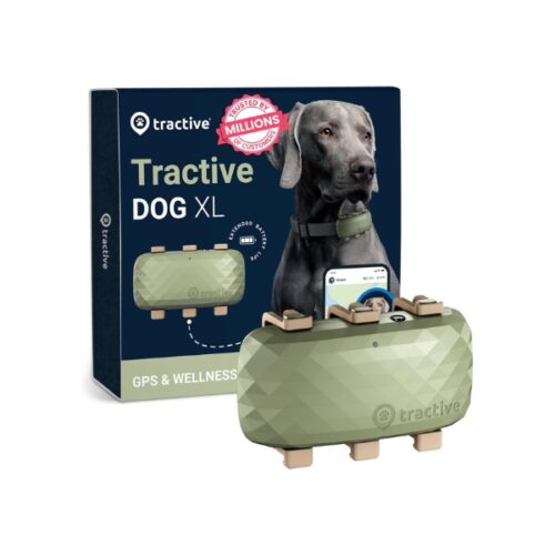 Tractive Reviews: Is This GPS Dog Tracker Reliable? - Canine Journal